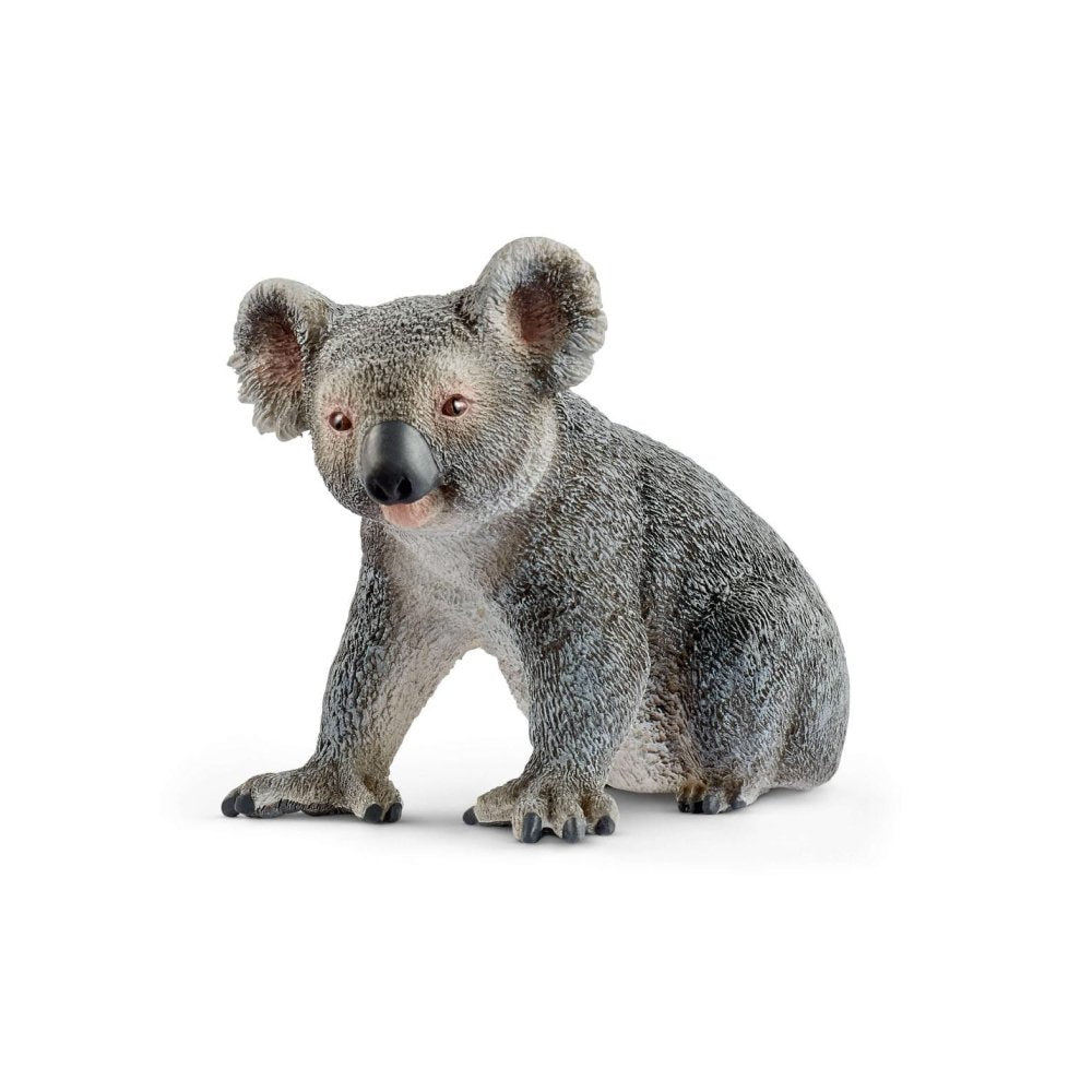Schleich Wild Life - Koala Bear (4.2Cm Tall) – Toy-Kingdom-South-Africa